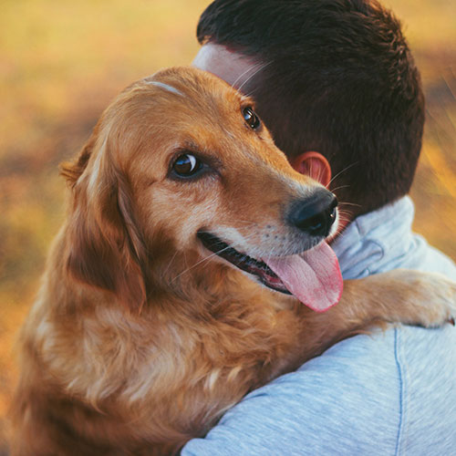 Hundetagesstätte & Hundebetreuung - Hundehort Wien